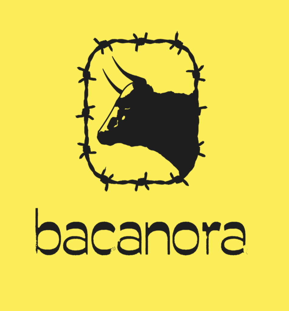 Chef Rene Andrade's Culinary Art | Timeless Vapes